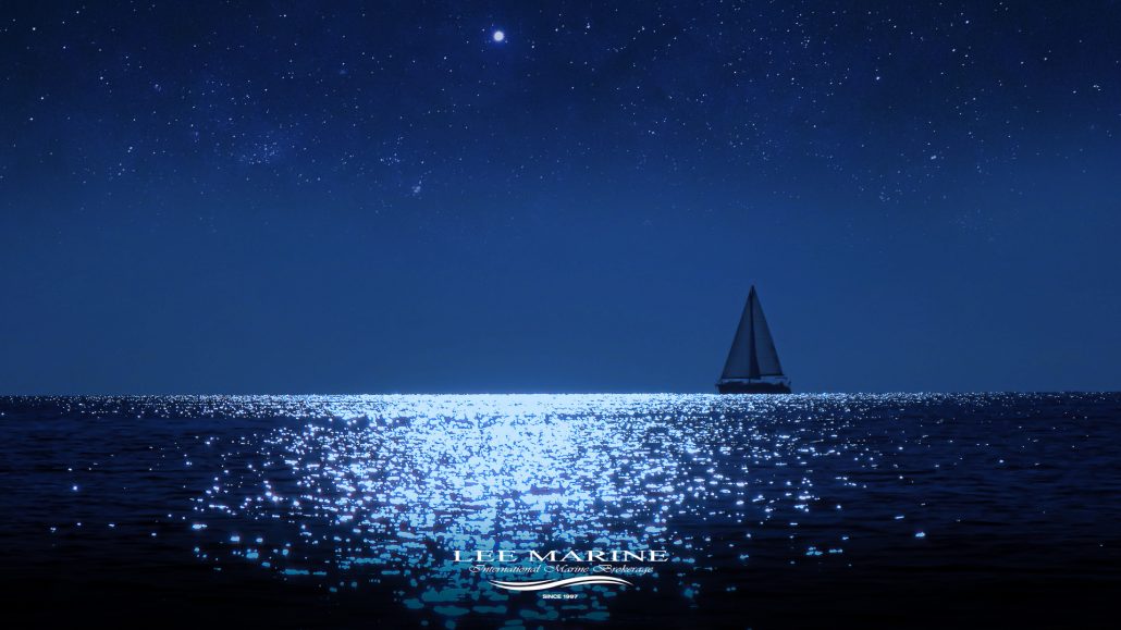Celestial Symphony: A Guide to Stargazing on the Water
